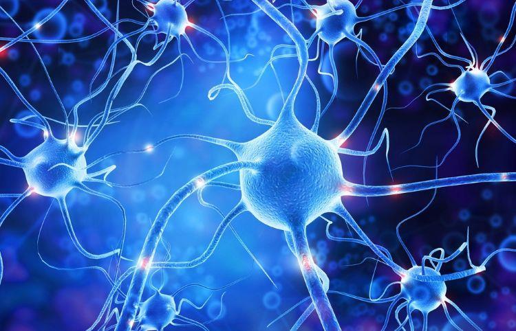 Biogen/Stoke’s zorevunersen hailed as potential first disease-modifying ...