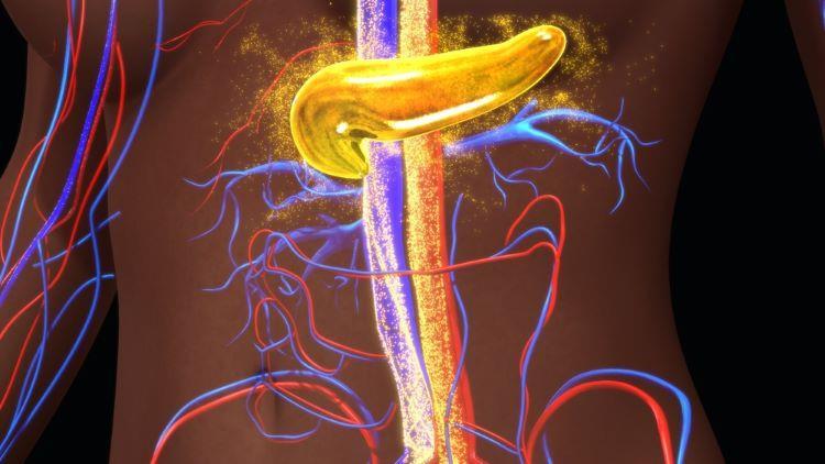 First cell therapy approved for Type 1 diabetes | News | European ...